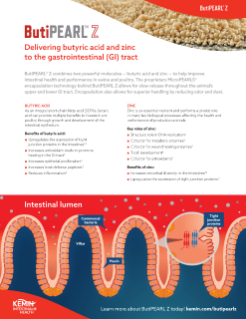 Gut Health Solutions for Turkeys | Kemin Industries USA